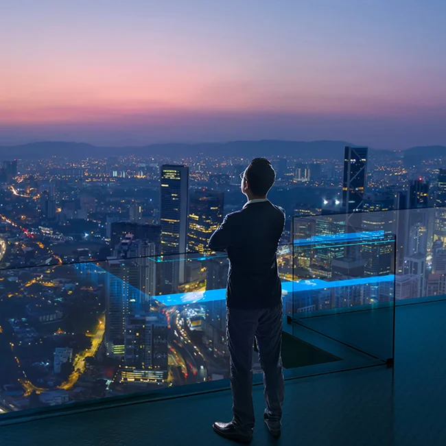 Overview for shareholders and analysts | Systems Limited